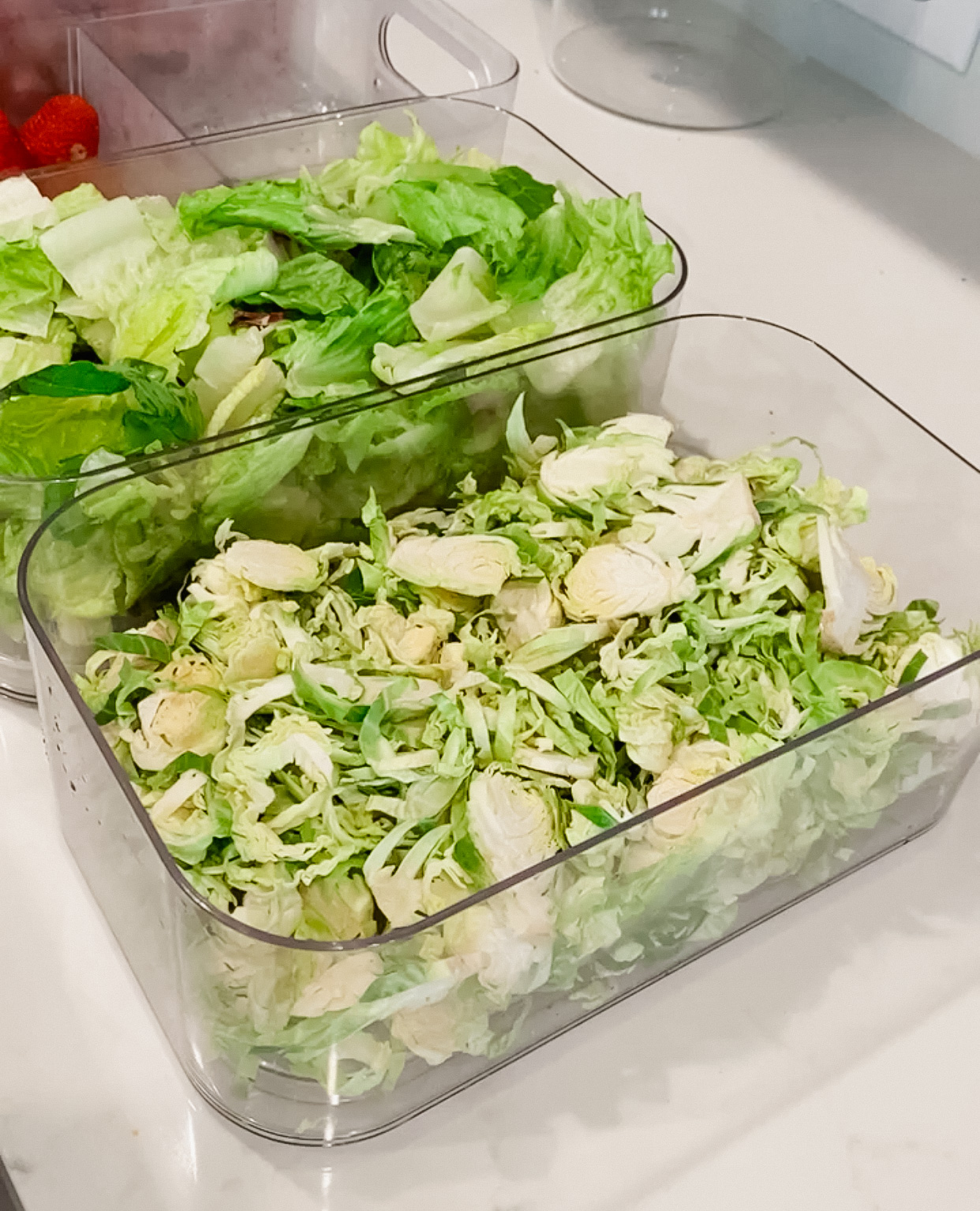 How to Organize Your Refrigerator + Organization Bins - Lauren Gleisberg