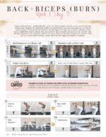 Which Plan Is Best for You - Try A Sample Workout from Each of My ...